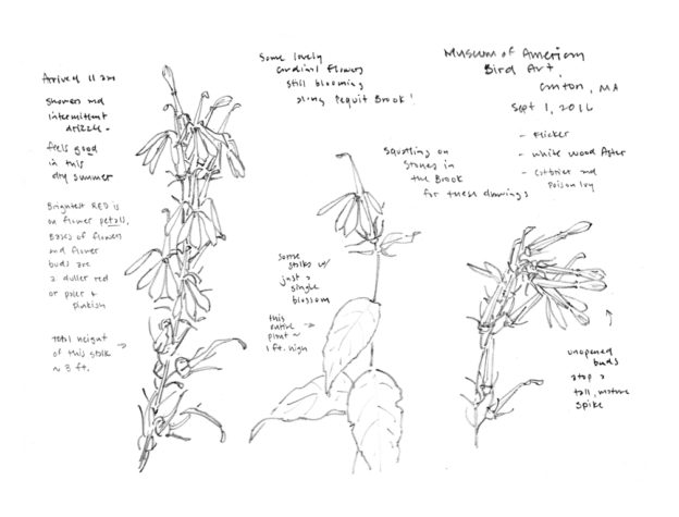 Barry V. | Taking Flight | Page 3