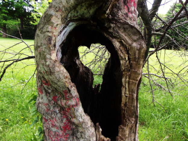 Take 5: Nature Love | Mass Audubon – Your Great Outdoors