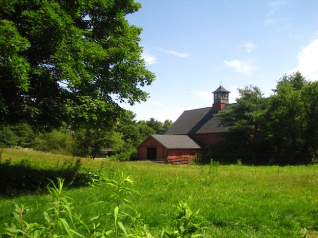 Take 5: Drumlin Farm Wildlife Sanctuary | Mass Audubon – Your Great ...
