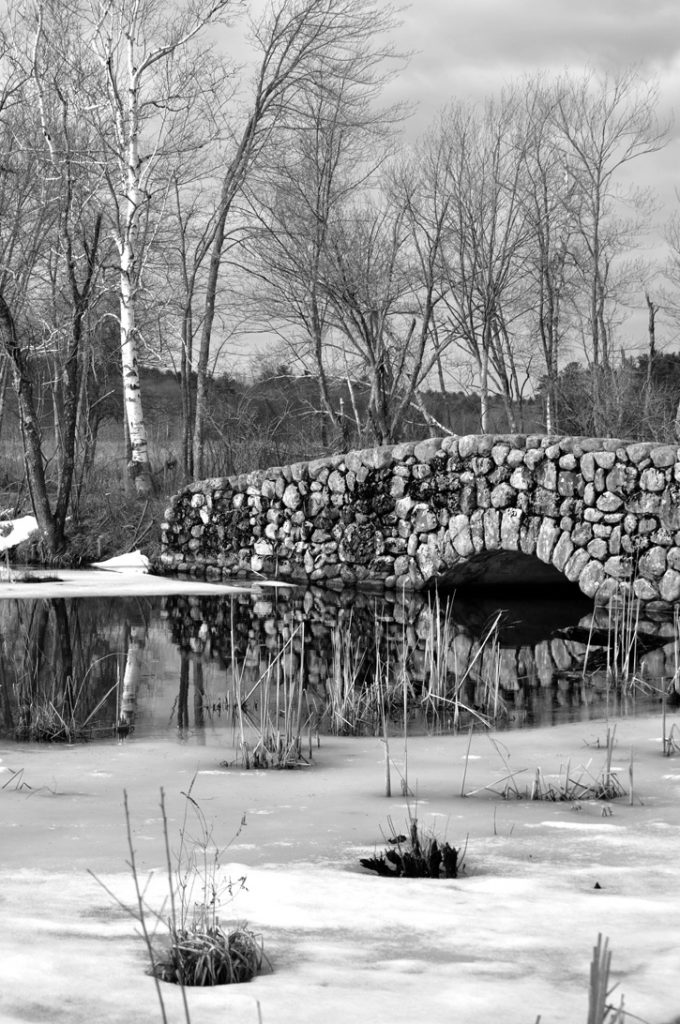 Take 5: Snowy Scenes | Mass Audubon – Your Great Outdoors