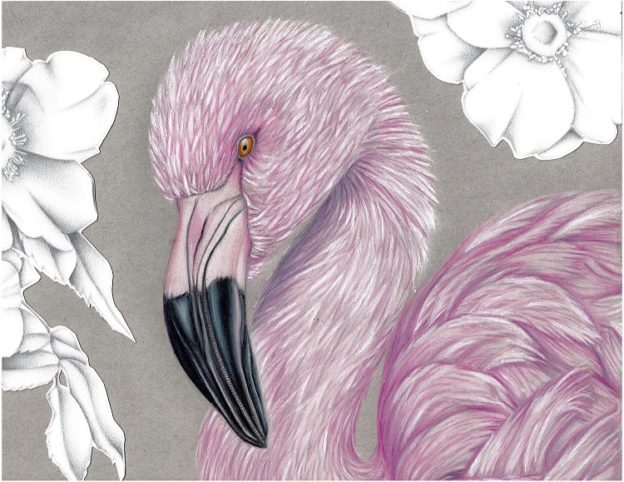 Sneak Peek at Youth Art Exhibition | Mass Audubon – Your Great Outdoors