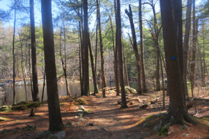 Take a Deep Breath of Nature | Mass Audubon – Your Great Outdoors