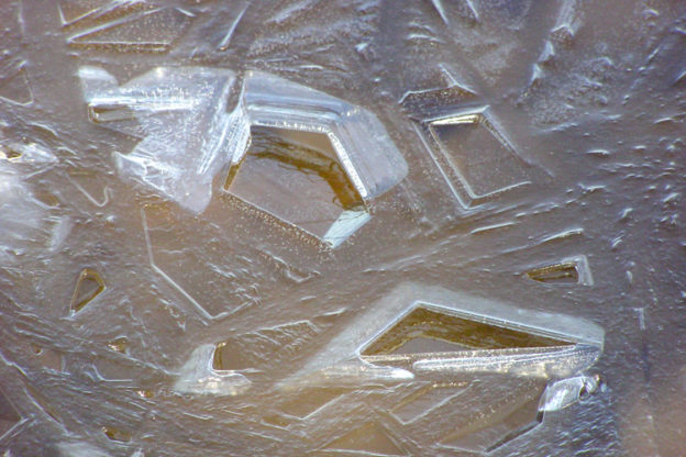 Take 5: Ice Art | Mass Audubon – Your Great Outdoors