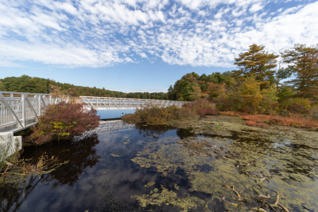 Take 5: Boardwalk Trails | Mass Audubon – Your Great Outdoors